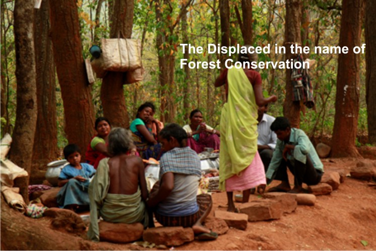 Forest conservation: Two steps forward, four steps back - Delhi Post