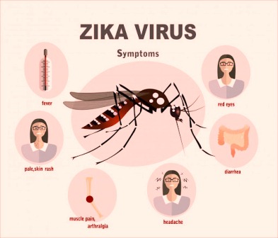 Zika Virus Replication - Delhi Post